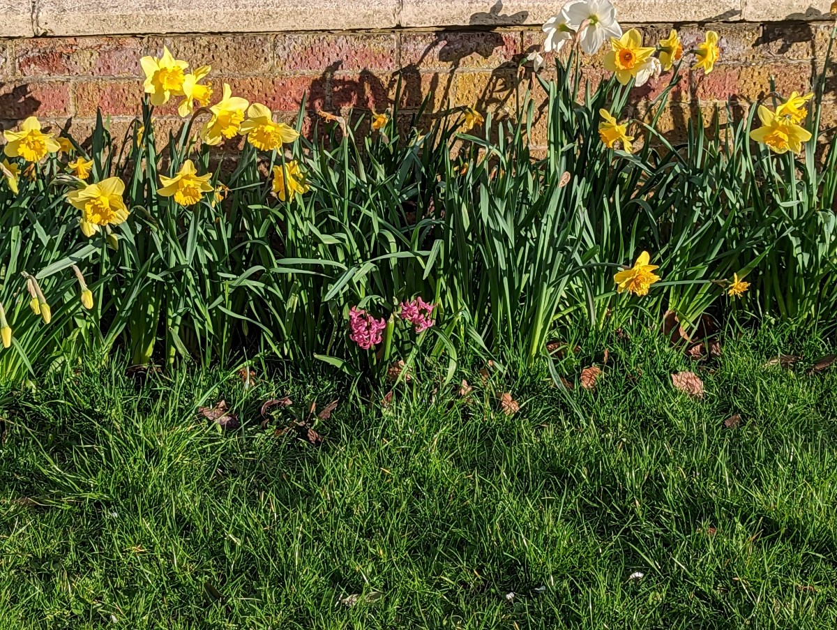 Waltham Group Churches – Welcome + Share + Grow